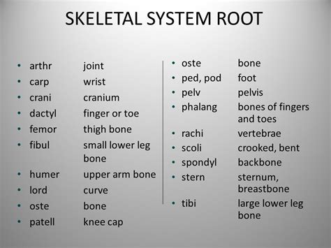 Medical Terminology Chapter 4 Artofit
