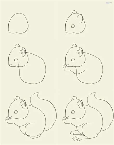 How To Draw Easy Squirrel