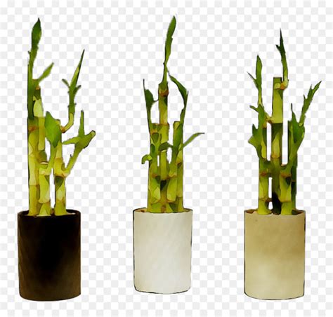 Free Product Design Bamboo Nohatcc