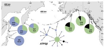 Geographic Origin And Timing Of Colonization Of The Pacific Coast Of North America By The Rocky