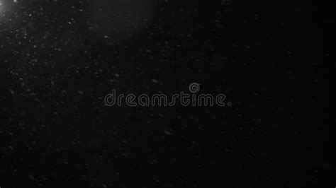 Falling Snow Flakes Or Rain On Black Background Stock Footage Video Of Texture Effect 258012984