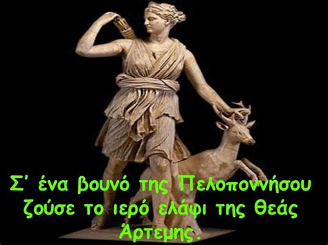 ΤΟ ΕΛΑΦΙ ΜΕ ΤΑ ΧΡΥΣΑ ΚΕΡΑΤΑ ΟΙ ΣΤΥΜΦΑΛΙΔΕΣ ΟΡΝΙΘΕΣ ΟΙ ΣΤΑΒΛΟΙ ΤΟΥ Α…