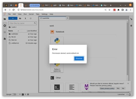 Fix File Permission Issue When Mounting Container From The Jupyter