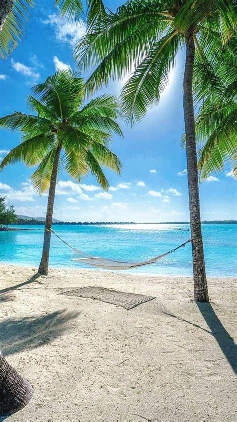 Pin By Lisa Brothers On Daydreams Beautiful Ocean Pictures Beautiful