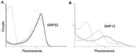 Mean Geometric Complement Binding To 6c And 19a Strains C3 Binding To Download Scientific