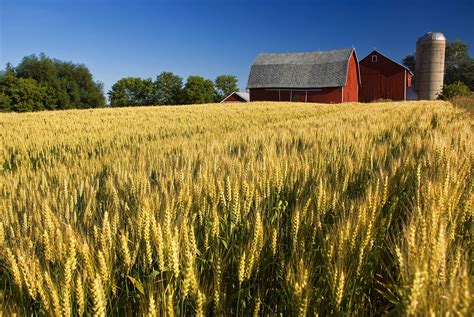 Health Disparities In Rural America Current Challenges And Future