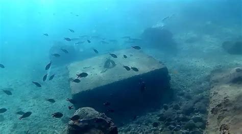 El sector pesquero celebra los avances en la protección de los ecosistemas marinos vulnerables