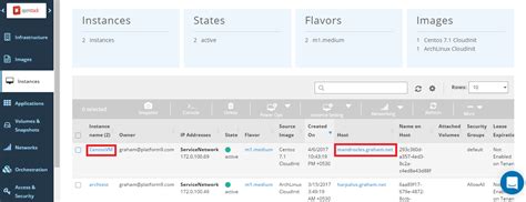 Performing Live Migration With Platform Managed Openstack Platform