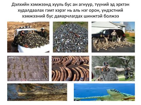 ХУУЛЬ БУС АН АГНУУР АМЬТНЫ ЭД ЭРХТЭН ХУДАЛДААЛАХ ГЭМТ ХЭРГИЙН ӨНӨӨГИЙН