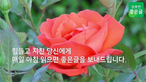 힘들고 지친 당신에게 매일 아침 읽으면 좋은글을 보내드립니다 Youtube