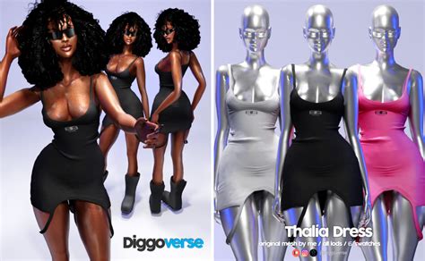 Diggoverse