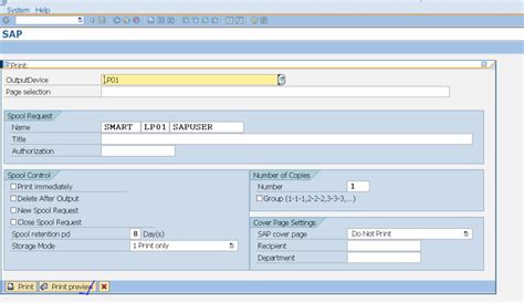 Text Module In Window Sapcodes
