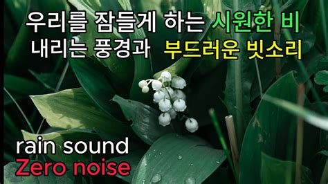 잠 잘 오는 빗소리 Asmr백색소음비내리는 풍경과 부드러운 빗소리불면증 해소 노이즈 없는 백색소음 자연소리