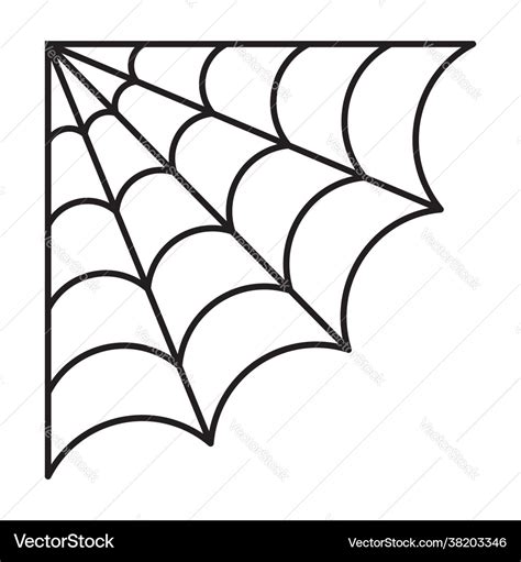 Corner Spider Web