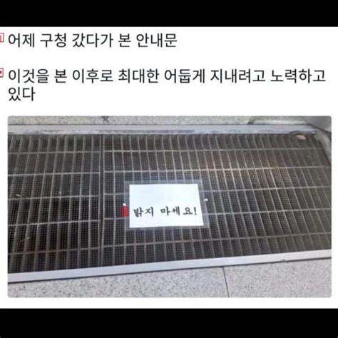 어둡게 지내는 이유 촬스의 이슈와 유머