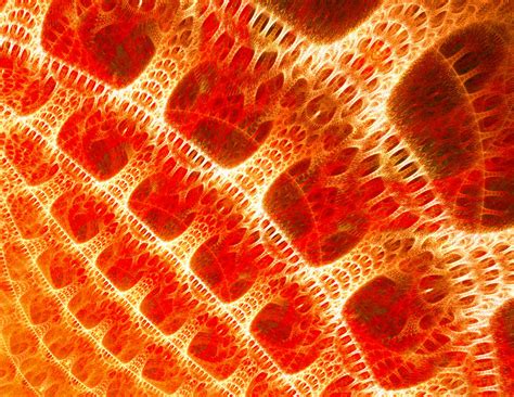 Latticework By Csd0916 On Deviantart