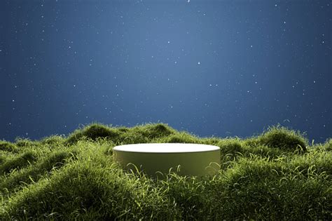 Abstact 3d 렌더링 자연 배경 잔디밭의 돌 연단 제품 전시 광고 화장품 등을 위해 밤하늘에 빛나는 별을 배경으로 풀