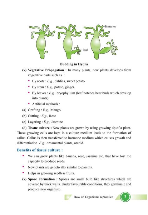 Class 10 Science Chapter 8 How Do Organisms Reproduce Study Notes