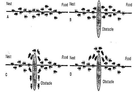 Simple Ant Colony Optimization Technique A Ants Uses A Direct Path Download Scientific