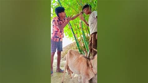 Mujhse Nahin Hogi Is Tarah Ki Naukari😀😄 New Comedy Short Video