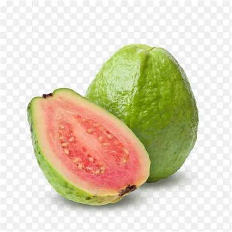 Png Png Qjvvznxx