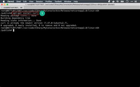 如何將 NET Core 發佈到 Linux 點燈坊
