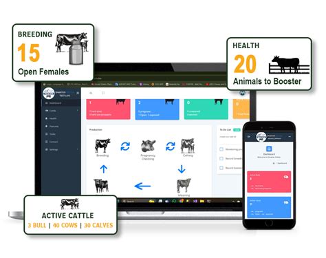 Cattle Management Software - Smarter Cattle
