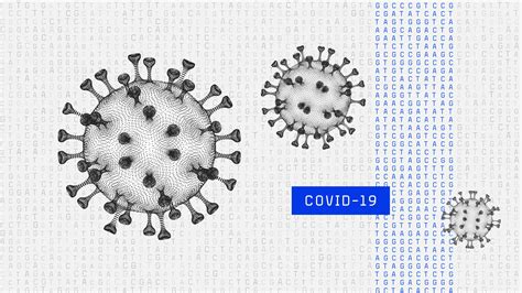 Github Sohum Simulating A Pandemic Tester
