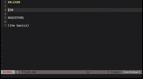 Vim Registers The Powerful Native Clipboard All Drops