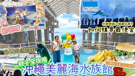 沖繩美麗海水族館】 親子全攻略 2023 新設施 鯨鯊 免費海豚表演 超可愛初生海牛 如何購票最便宜 什麼時候入場化算 需要預留