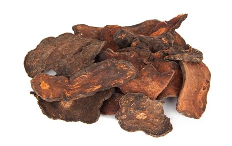 The Benefits Of Fo Ti Root