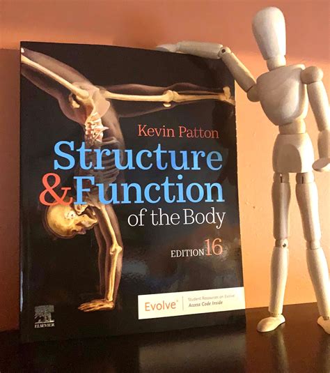 Structure Function Of The Body It S Here The 16th Edition Of Patton