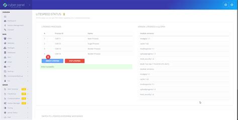 How To Install And Activate Modpagespeed On Cyberpanel Pc 3