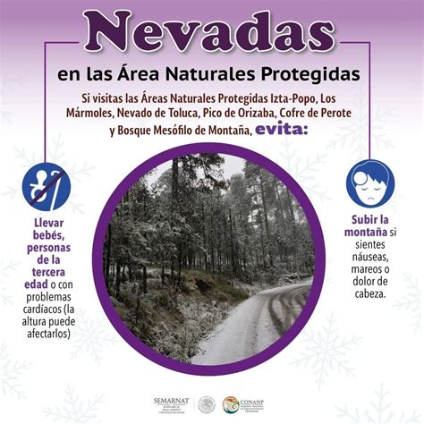 Gobmx ¿visitas Las áreas Naturales Protegidas Durante El