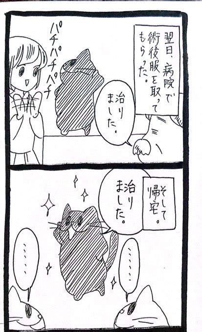 2023年02月16日のツイート うさぎのみみちゃん さんのマンガ ツイコミ仮