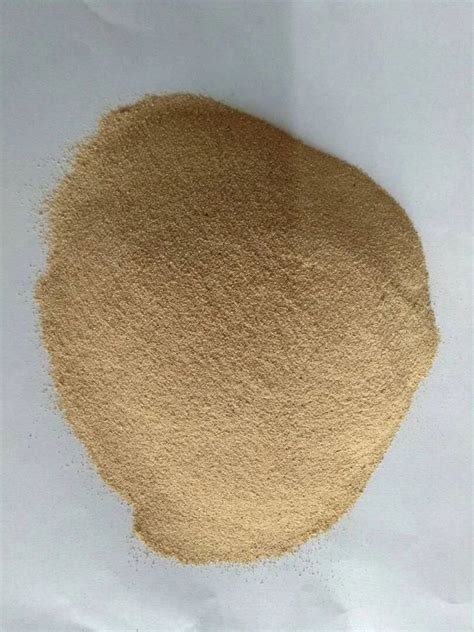 Brown Rice Protein Powder At Rs 40kg Brown Rice Protein Isolate