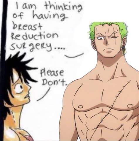 Pin By Lum On One Piece One Piece Funny One Piece Meme One Piece Images