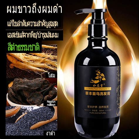 Ruzai ถูกที่สุด พร้อมโปรโมชั่น ม ค 2023 Biggoเช็คราคาง่ายๆ