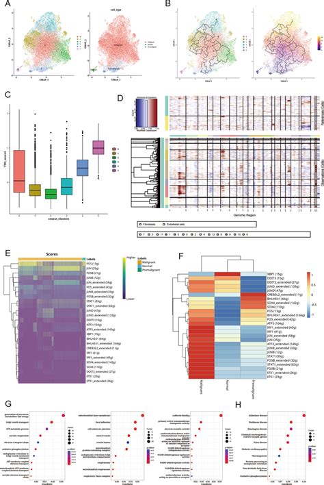 Dimensionality Reduction Cluster Analysis Of Thyroid Associated Cell Download Scientific