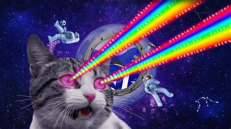 Cats With Lightsabers Wallpaper