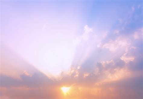 Solar Energy Contractors Whats Their Role Sunshine Renewable Solutions