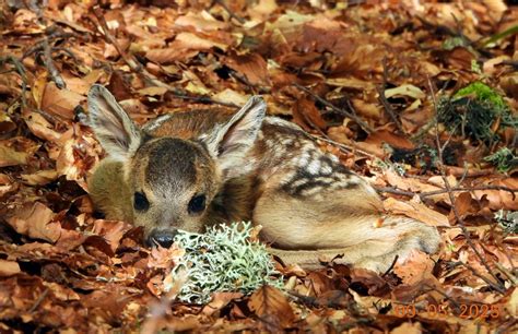 Министерство на Министерство на околната среда и водите