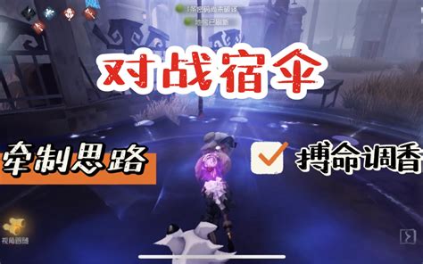 【你还我星星】调香and祭司 对战宿伞的意识 幸子ami 幸子ami 哔哩哔哩视频