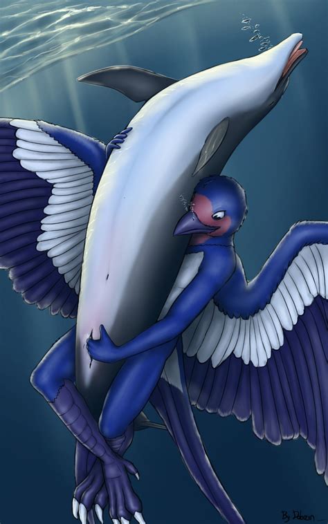 Rule 34 Anatomically Correct Avian Bird Blueswallow Bubble Cetacean