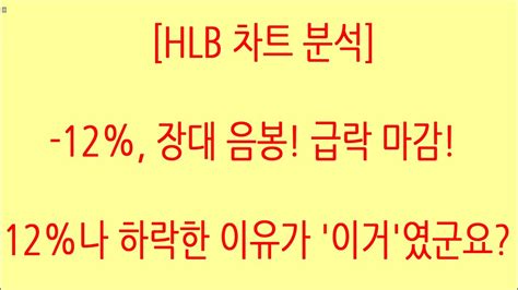 HLB차트분석 HLB 급락 이유는 그렇다면 내일은 YouTube