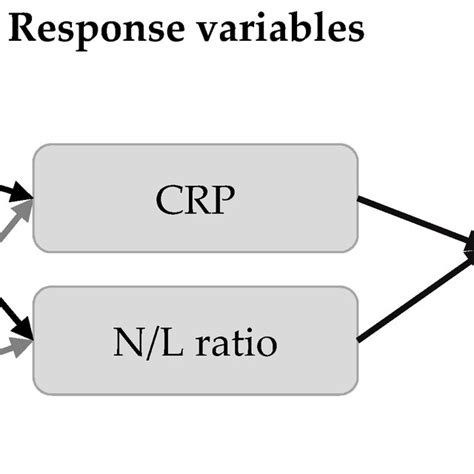The Dietary Pattern Derived From The Reduced Rank Regression Model Download Scientific Diagram