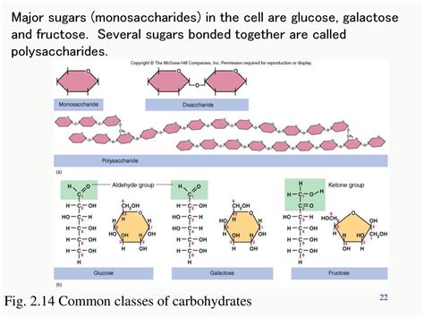 Microbiology A Systems Approach Ppt Download