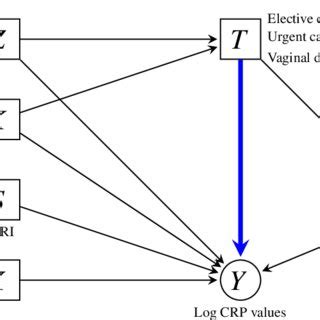 Causal Graph Of Observed Covariates Causal Graph Of Available Download Scientific Diagram