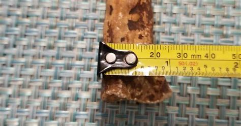 Tooth Album On Imgur