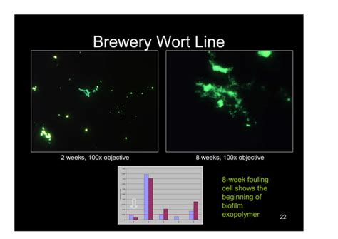 Early Biofilm Detection Pdf